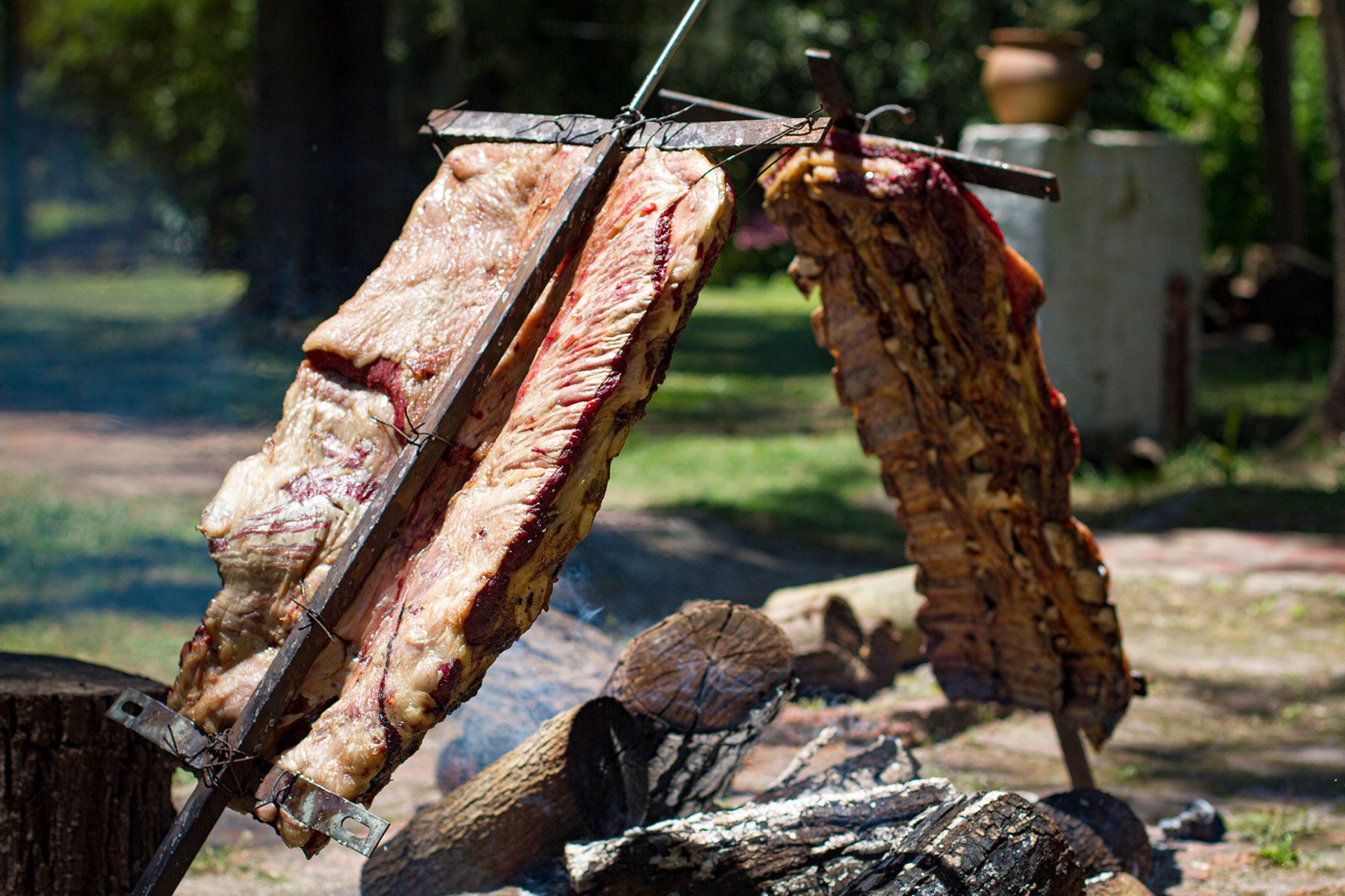 Black Angus Short Ribs Plate 7 Bones – Corte Argentino